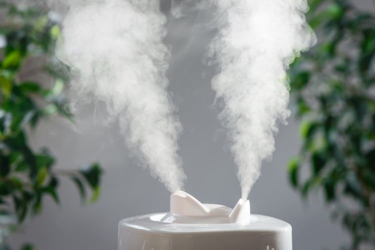 HVAC.com’s Guide to Humidifiers: Costs, Benefits, Brands & More | HVAC.com