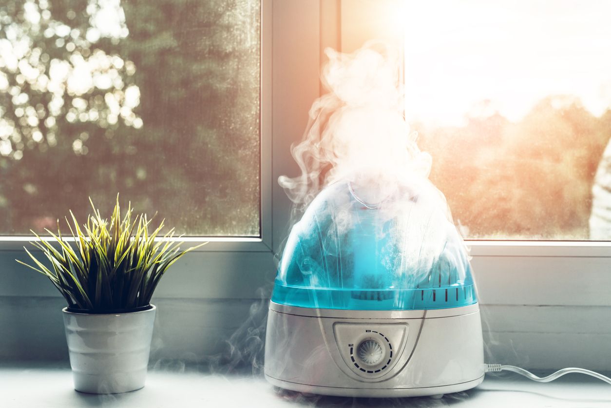 What’s the Difference Between a Humidifier and a Dehumidifier? | HVAC.com