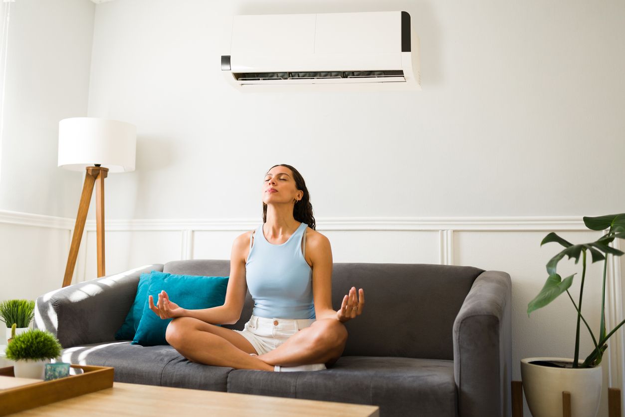 How to Naturally Clean the Air in Your Home | HVAC.com
